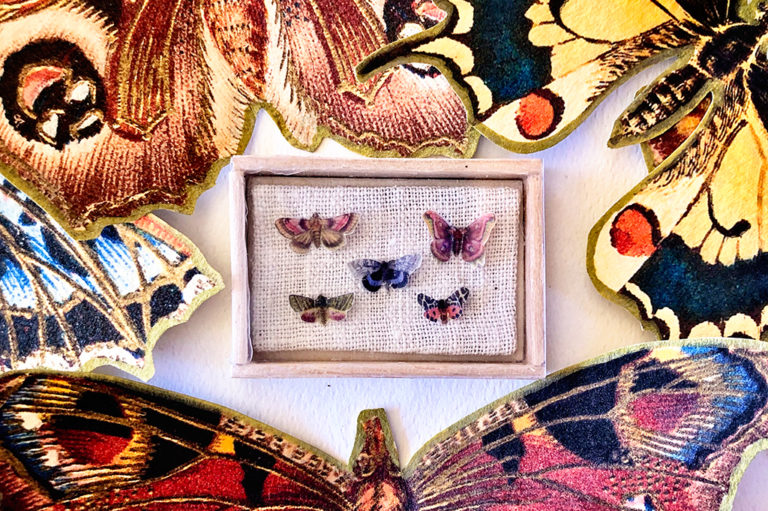 How To Make a Miniature Butterfly Shadowbox | Miniature Museum