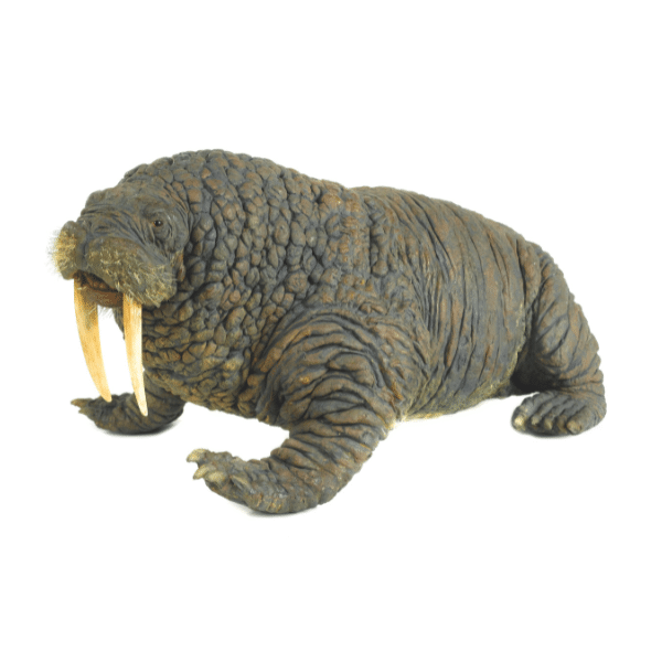 Ray Harryhausen: Miniature Models of the Silver Screen | Miniature Museum